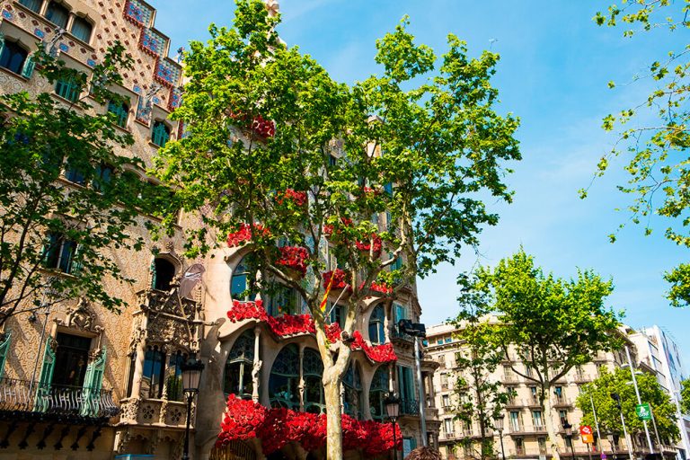 ¿Cómo es Sant Jordi en Barcelona? - Grums